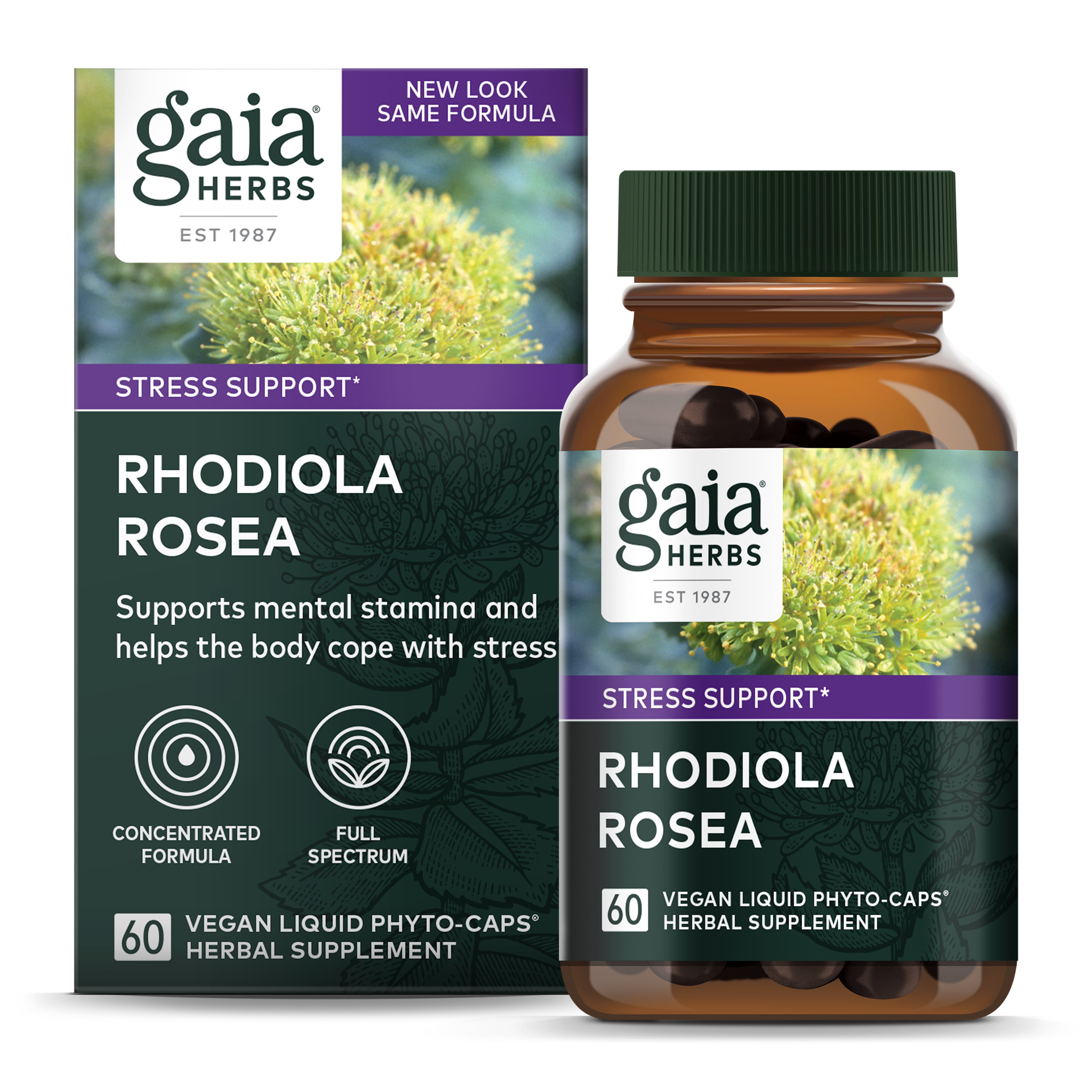 Gaia Herbs Rhodiola Rosea - Stress Support Supplement Traditionally for ...