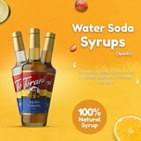 Torani Sweet Sampler: Pumpkin Pie, Peppermint, Salted Caramel Coffee ...