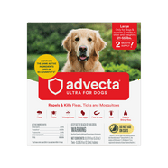 Provecta Advanced Flea & Tick Topical Solution for Dogs Over 55 lb. 4 ...