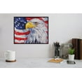 DIAMOND DOTZ® Bald Eagle & Flag Special Edition Diamond Painting Kit ...