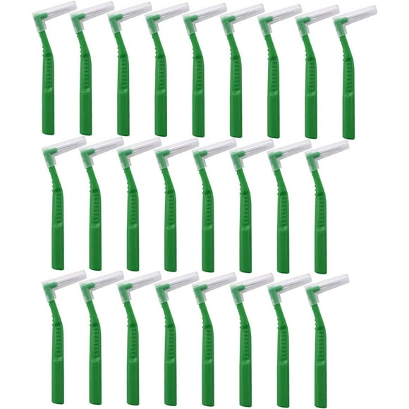 Dental Proxy Brushes