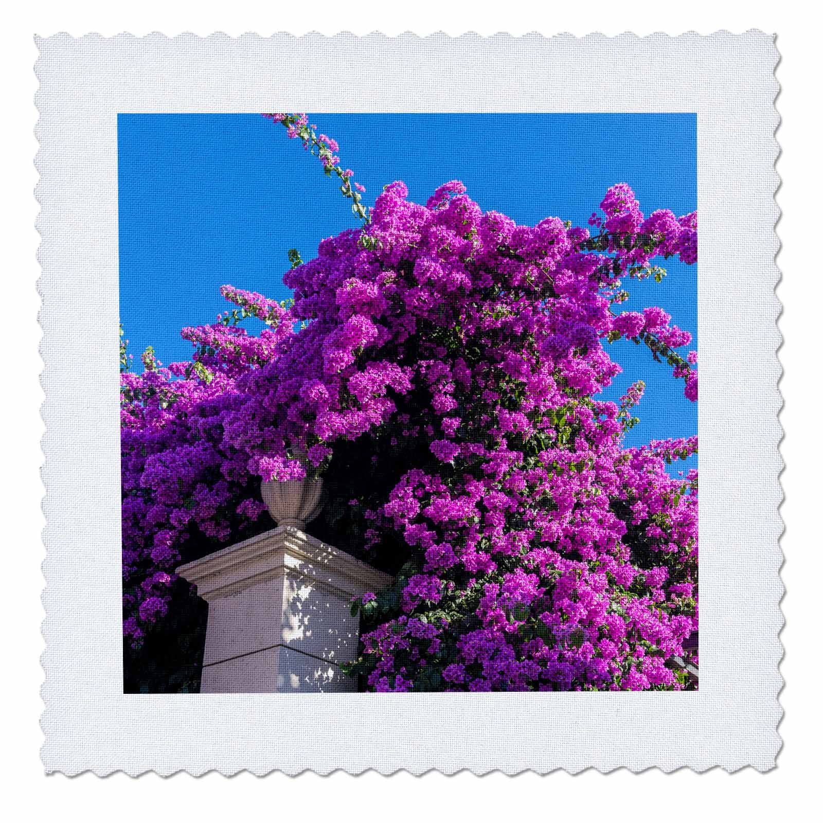 3dRose Portugal, Pinhao, Bougainvillea - Quilt Square, 8 by 8-inch ...