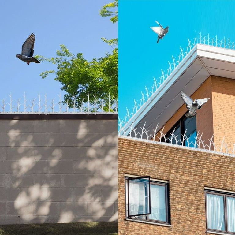 Roof Spikes For Birds