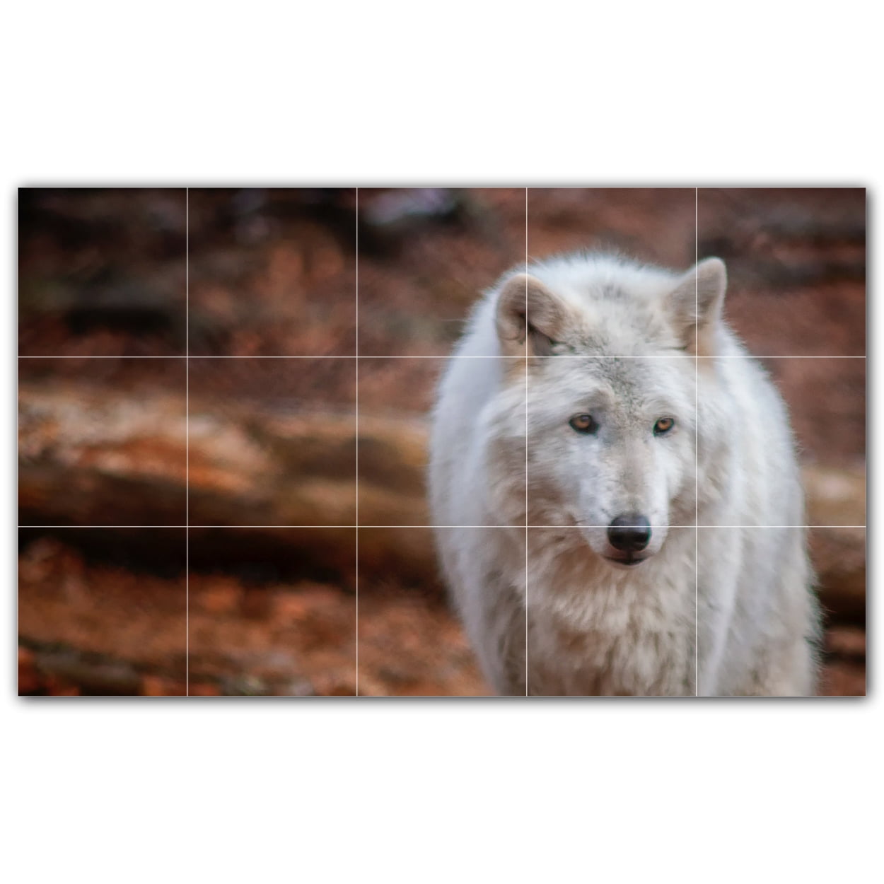 Picture-Tiles.com: Wolf Ceramic Tile Wall Mural WAL501242-53XL. 60"W x ...