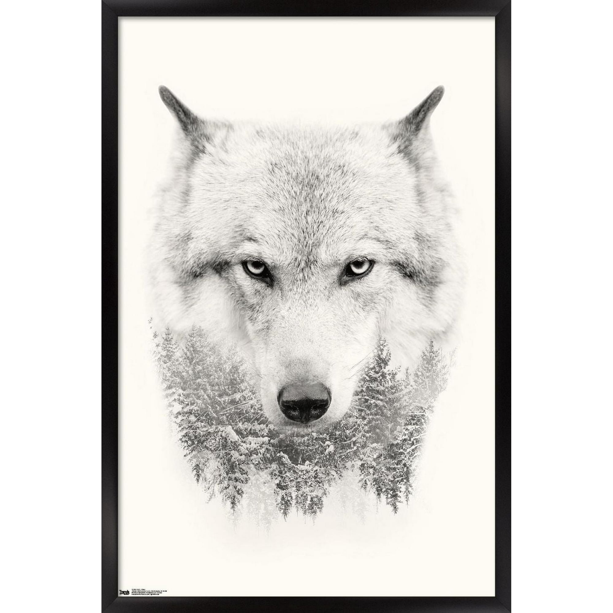 Click here for Trends International Wolf - Trees Wall Poster  22.... prices