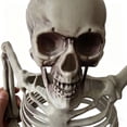 Realistic Half Skeleton Torso Halloween Haunted House Decoration Life ...