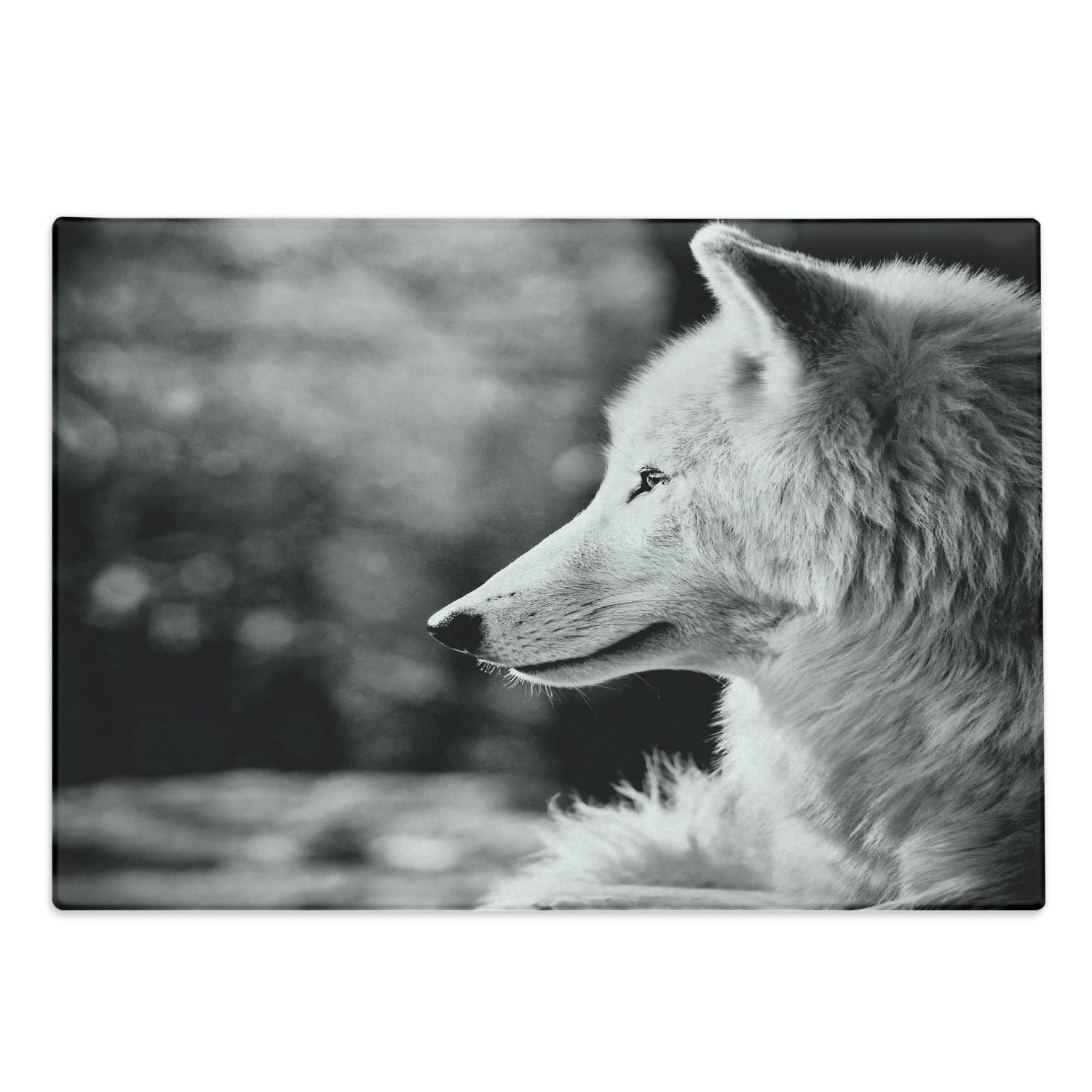 Wolf Cutting Board, Animal Profile Portrait in the Nature Wildlife ...