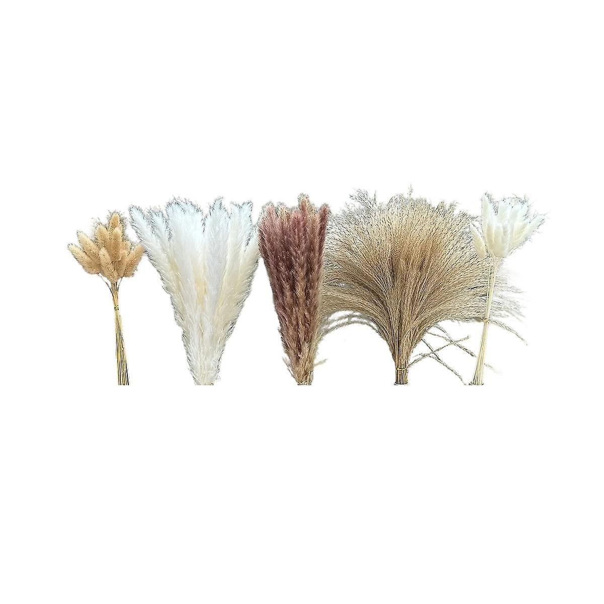 150 Uds. Pampas Grass Boho HomeDecor flores secas-Pampas Grass contiene ...
