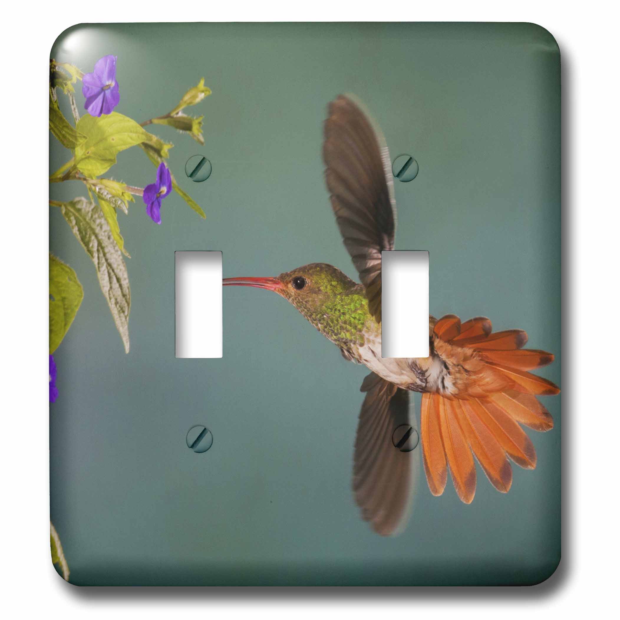 Rufus-tailed hummingbird double toggle switch lsp-345377-2 - Walmart.com