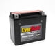 EverStart AGM PowerSport Battery, Group Size 20LBS 12 Volt, 270 CCA ...