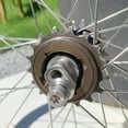 MOHEGIA Single Speed Bicycle Freewheel 18T,Bike Flywheel Steel ...