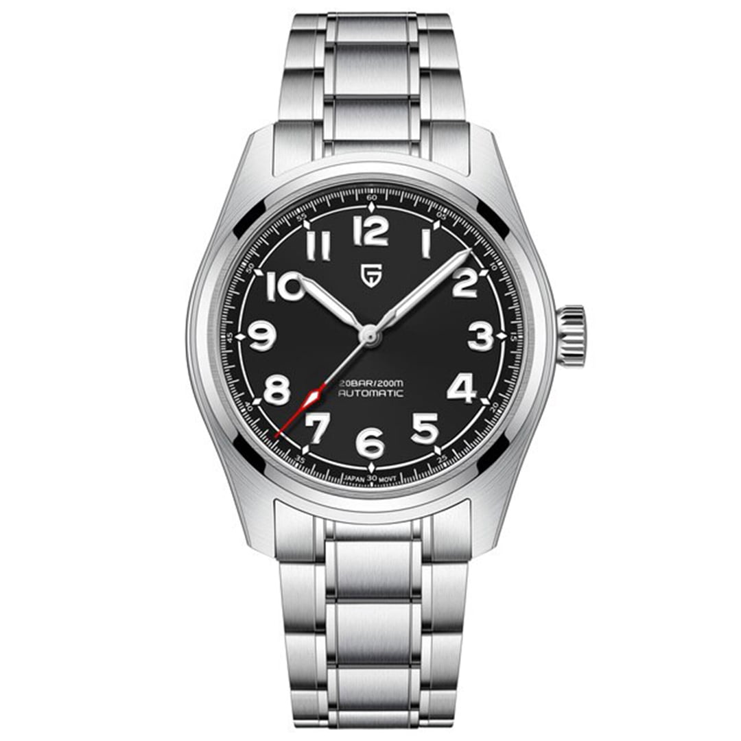 PAGANI DESIGN Men's Automatic Mechanical Watches with 38mm Case full ...