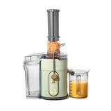 Beautiful 5-Speed 1000W Electric Juice Extractor with Touch Activated ...