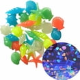 50 Luminous Rocks Sea Creatures Luminous Stones Starfish Shells Mixed ...