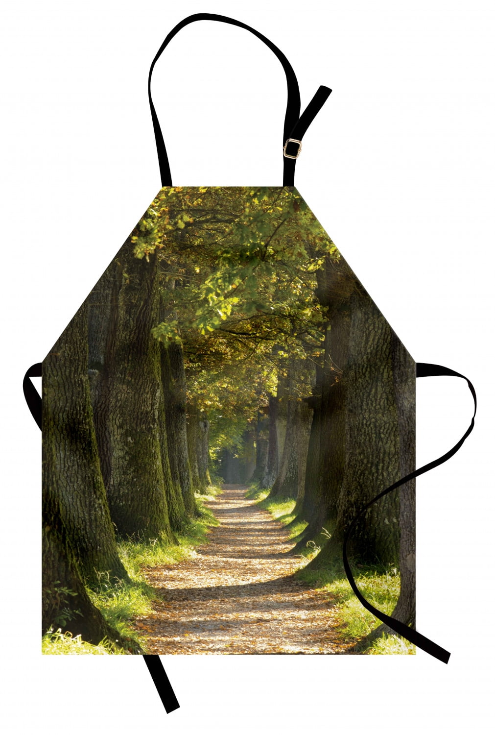 Tree Apron Alley With Oak Trees Forest Natural Rural Scenic Perspective ...