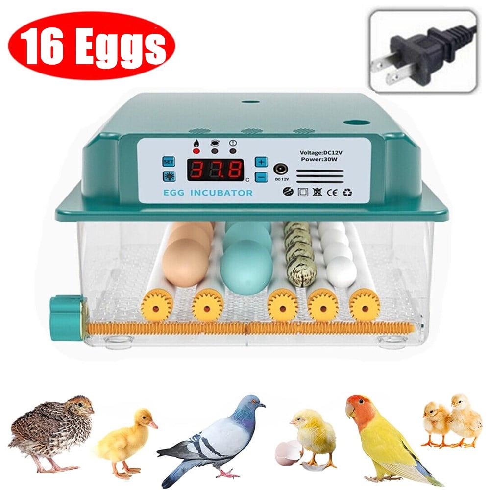 TOPCHANCES 16 Eggs Incubators for Hatching Eggs Digital Automatic Egg Turner Temp Control with ...