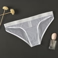 AOMPMSDX Mens Swimming Trunks Transparent Underwear Thin Mesh Bagless ...