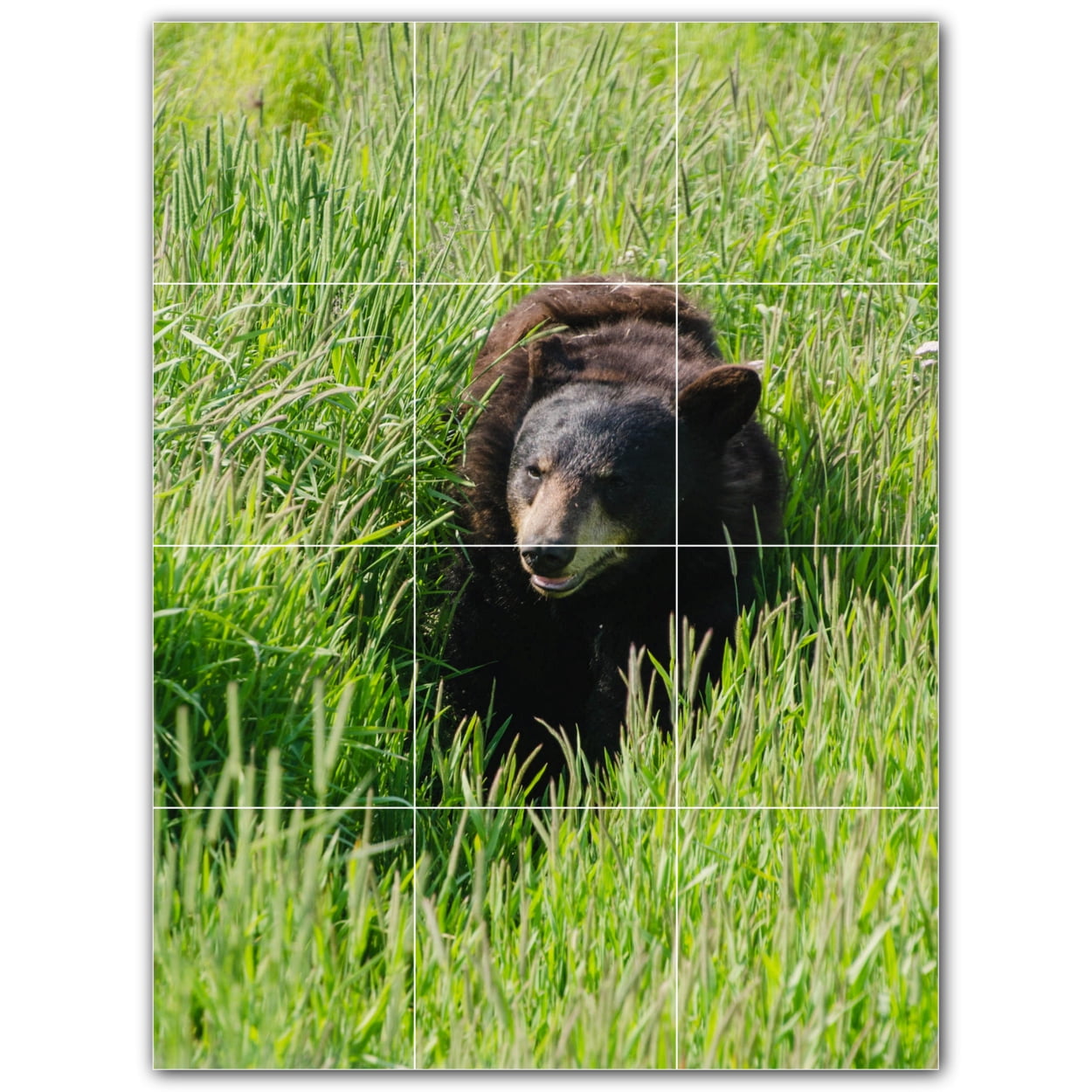 Picture-Tiles.com: Bear Ceramic Tile Wall Mural WAL500114-34M. 18"W x ...