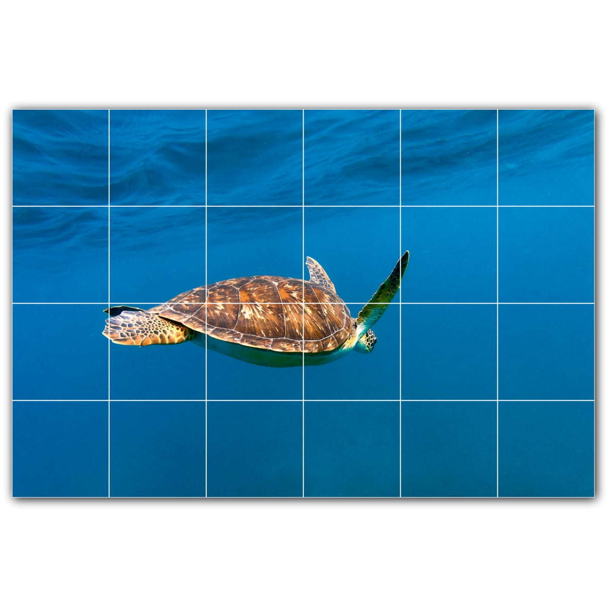 Picture-Tiles.com: Turtle Ceramic Tile Wall Mural WAL501071-64L. 48"W x ...