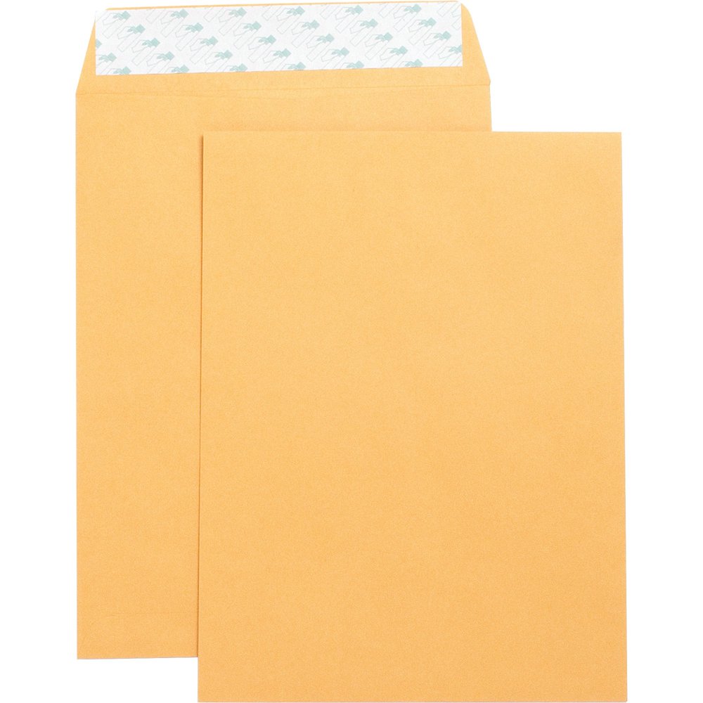 Business Source Self Adhesive Kraft Catalog Envelopes, Brown Kraft, 250 ...