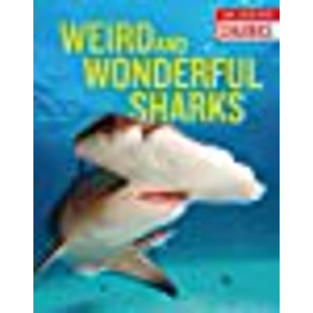 Weird and Wonderful Sharks (In Focus: Sharks) | Walmart Canada