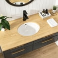 16" x 13" White Oval Porcelain Undermount Bathroom Sink, with Overflow ...