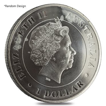 1 oz Fine Silver Coin - Random Government Mint - High Quality ...