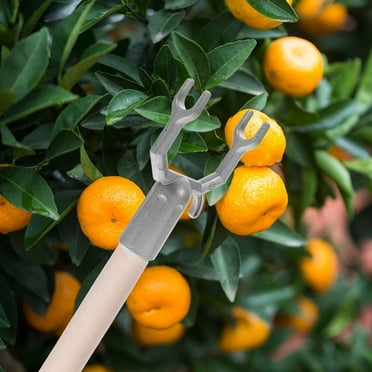 Tree Fixator, Tree Fixing Simple Iron Metal Durable Tree Supportive ...