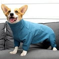 erfcxs Winter Pet Clothing Large And Small Dogs Autumn And Winter Warm ...