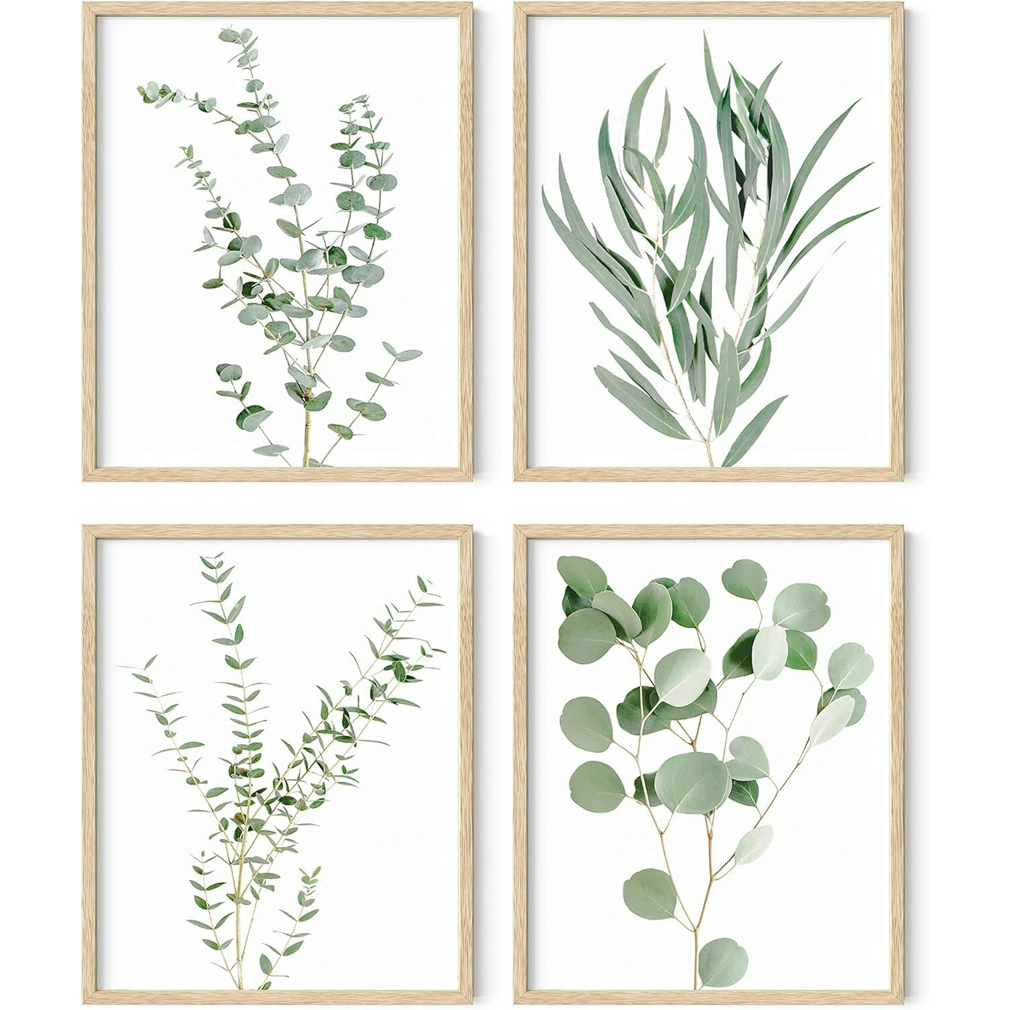 Click here for Ffrgh Haus And Hues Framed Botanical Prints - Set... prices