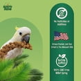 Nemeth Farms Worlds Freshest Birds Millet Treat Parakeet Parrot Food 5 ...