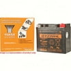 Yuasa GYZ16H Factory Activated, Maintenance Free Battery - Walmart.com