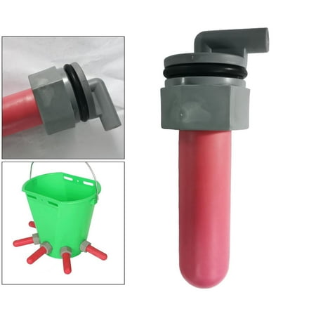 Goats Calves Dairy Animal Milking Bottle Drinking Bucket Rubber s ...