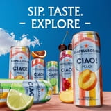Sanpellegrino CIAO Blood Orange Sparkling Flavored Water with Real ...