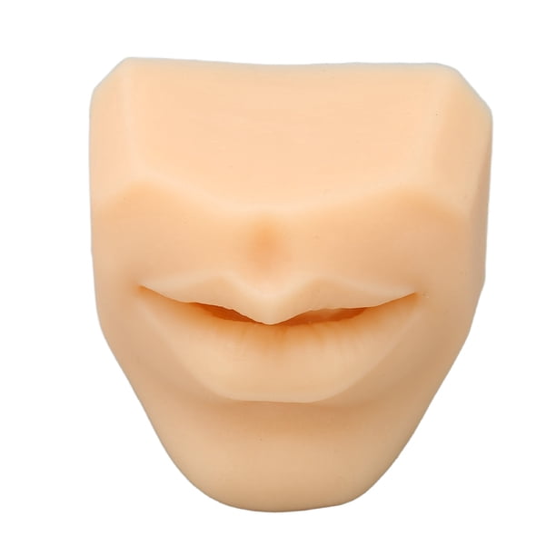 Simulation Mouth Model, Human Mouth Model Lifelike Portable Size Soft ...