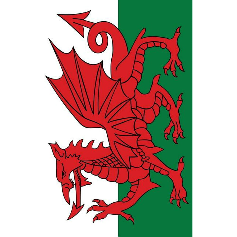 2019 - 2020 18 Month Weekly Planner: The Welsh Dragon - Symbol of a ...