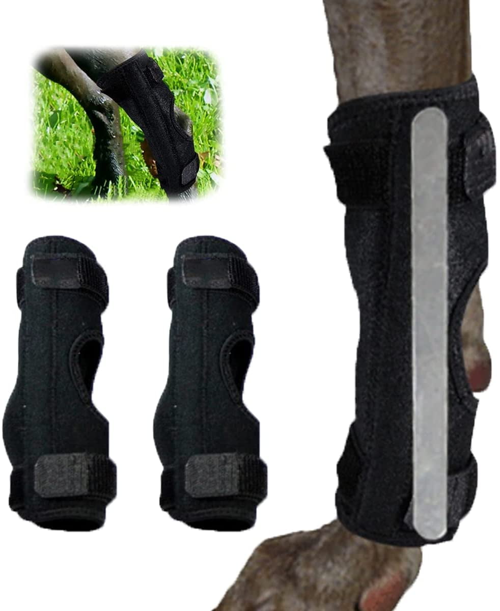 Dog Hock Brace for Rear Leg, Canine Wrap Protect Support Running ...
