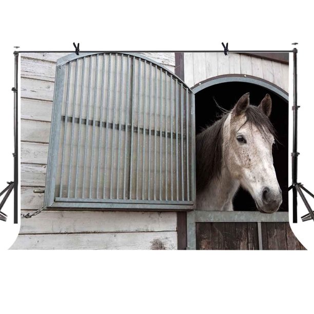 ABPHOTO Polyester 7x5ft Horse Backdrop Stable Animal Breeding ...