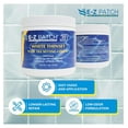 E-Z Patch 3 Pool Tile Thinset Cement for Repairs - Color Adjustable ...