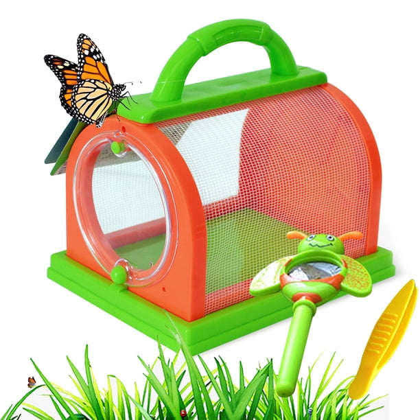 Live Butterfly Garden Kit