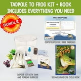 Live Tadpole to Frog Kit with Habitat, Certificates, Food & Book ...