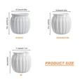 Clear Pumpkin Flower Pots Thickened Visible Water Levels Lazy Basin ...