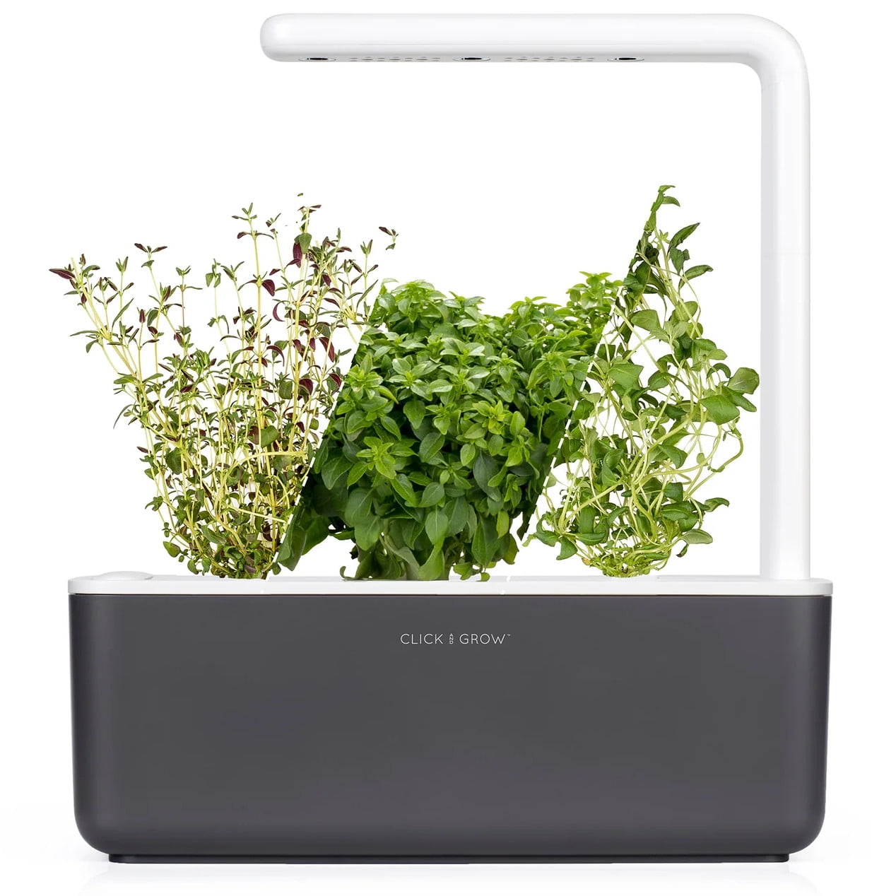 Click & Grow Indoor Italian Herb Gardening Kit | Smart Garden 3 with ...
