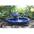 Smart Solar Outdoor Water Fountain - Solar Powered Koi Fountain with ...