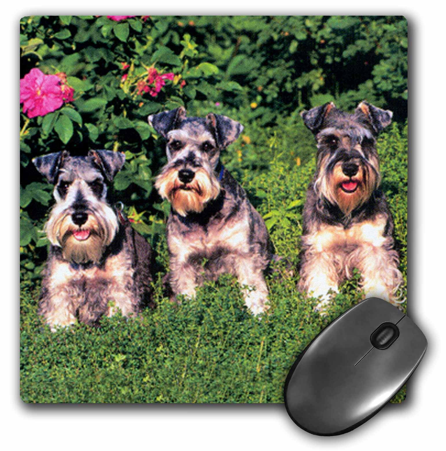 3dRose, Schnauzer, Mouse Pad - Walmart.com