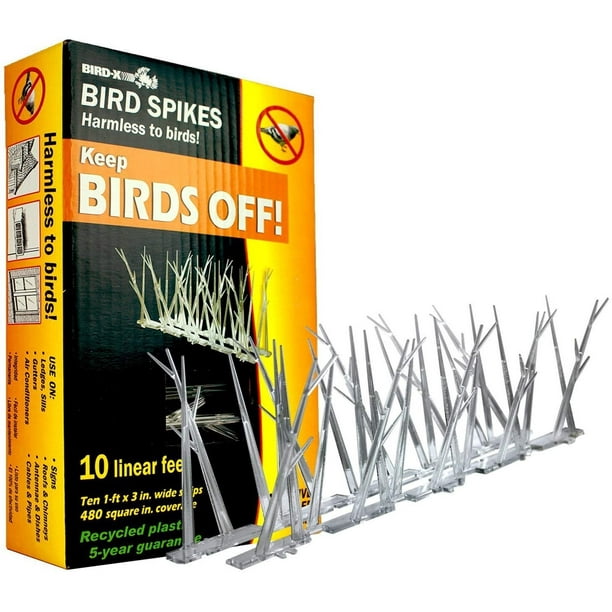 Bird-X B00VMR3SF4 SP-10-NR Plastic Narrow Bird Spikes 10 Foot Kit with Adhesive G, 2 Pack, Multi ...