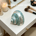 CCOCC 2026 New Green Banded Pearl Turbo Seashell Hermit Crab 3"-3 1/2 ...