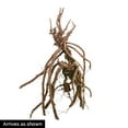 Birch's Double Flowering Geranium Dormant Bare Root Perennial Plants, 3 ...