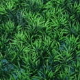 BESTYASH Artificial Green Aquarium Grass Mat for Fish Tank Decoration ...