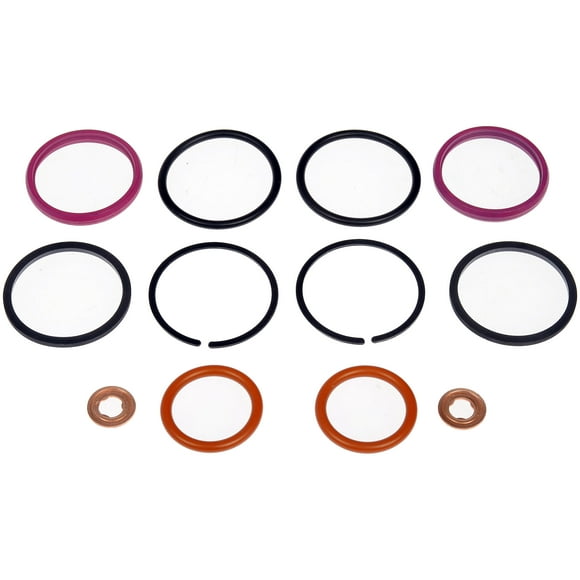 Ford Expedition Fuel Injector O-ring Kit